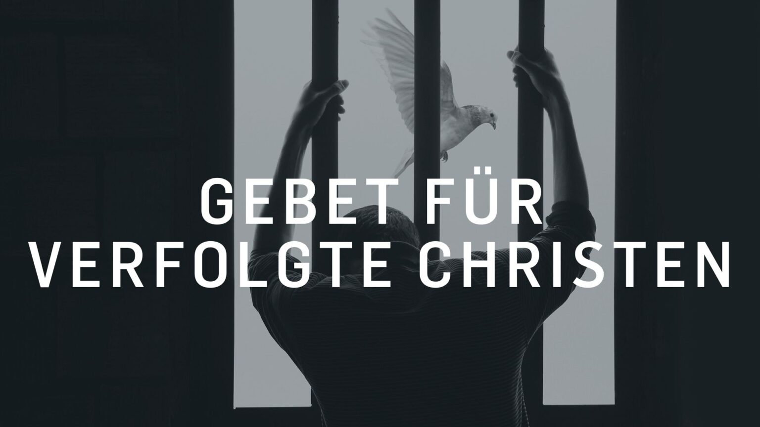 Events – ICF Interlaken